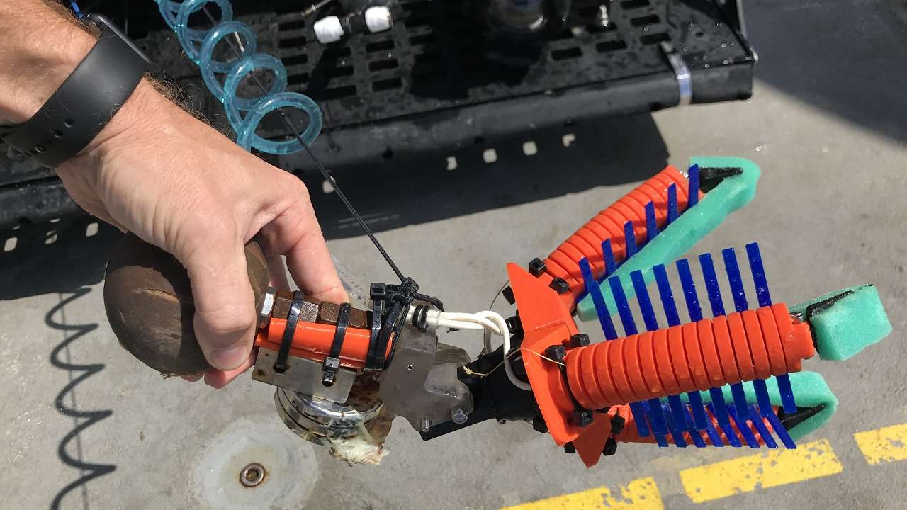 Scientists develop a soft, underwater robot that can help study sea ...