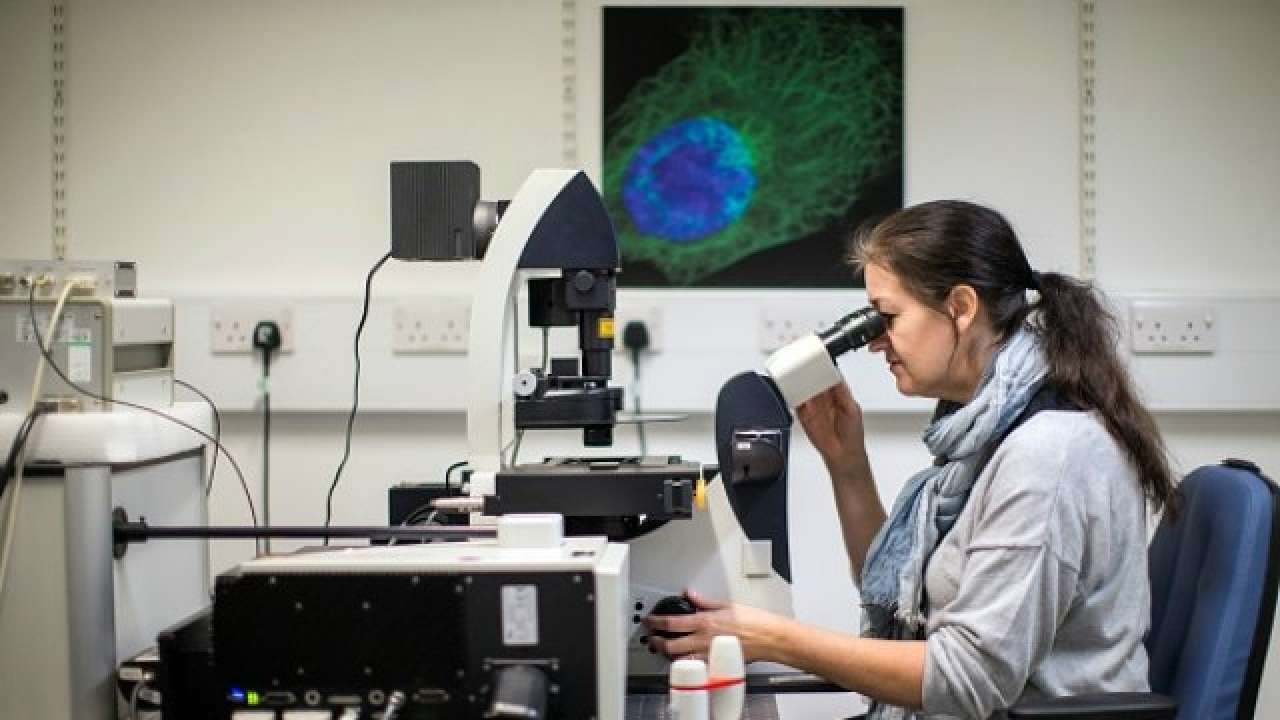 Nanoparticles may be more harmful than thought: Study
