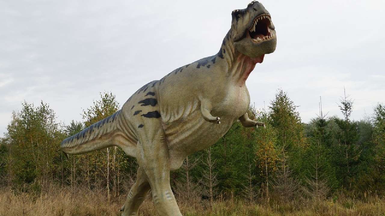 Researchers discover two new Chinese dinosaurs: Bannykus and Xiyunykus