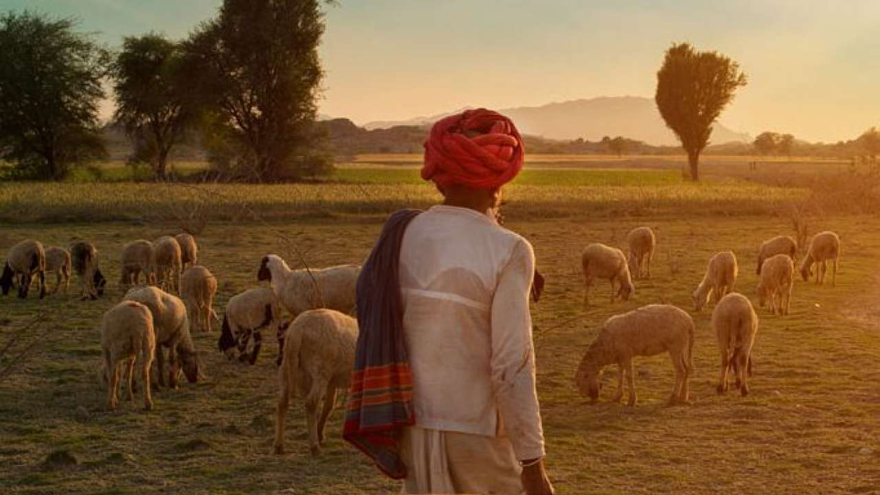 NABARD releases vacancies for 69 positions; here's how you apply at ...