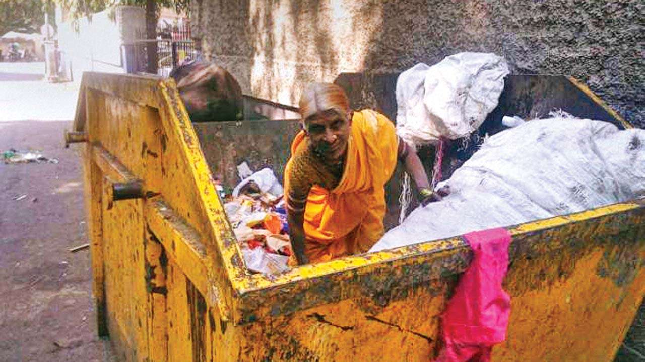 Women ragpickers need natural anti-oxidant therapy: Gujarat University ...
