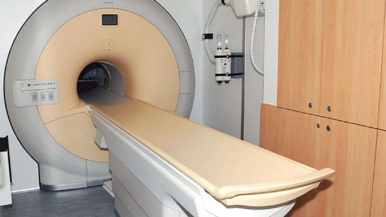 Injured Snake undergoes MRI scan for broken spine