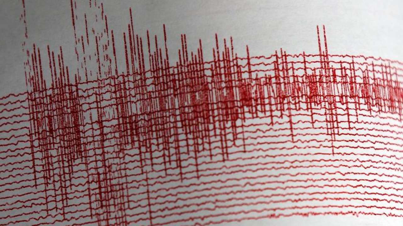 4.5-magnitude earthquake hits India-Nepal border, no casualty reported