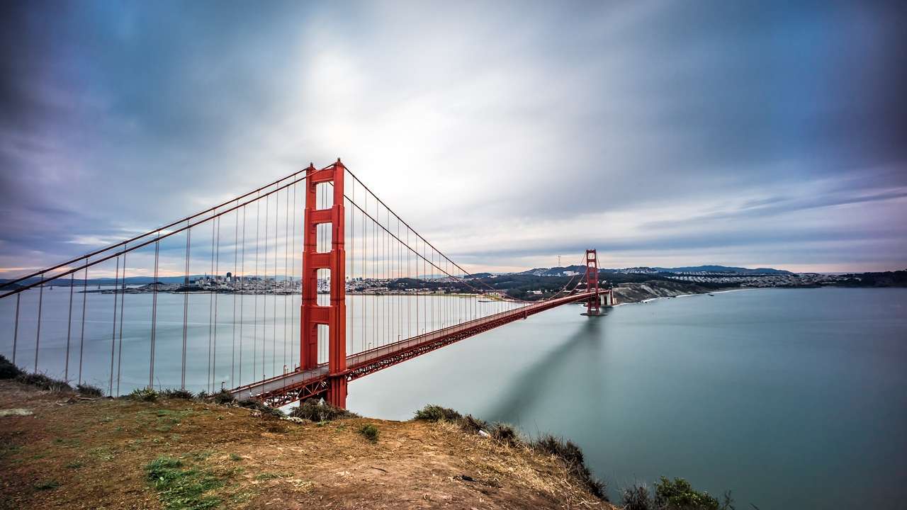 Snapcrap app invites residents from San Francisco to report poop on ...