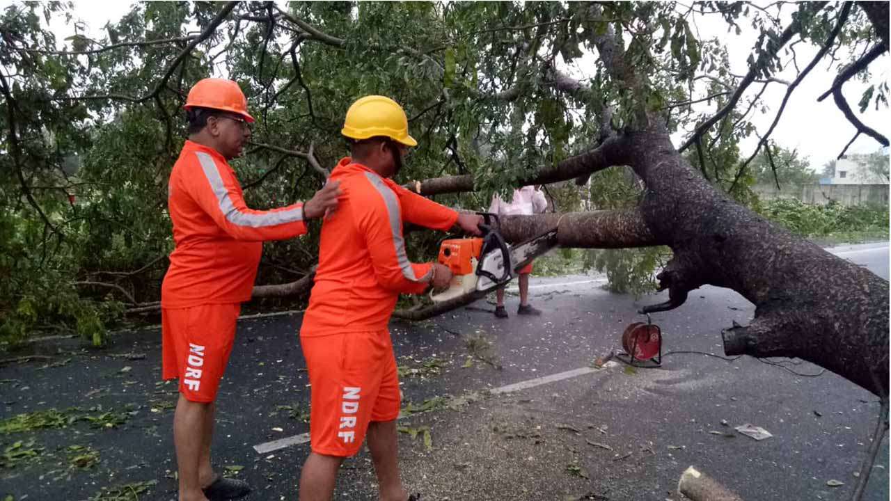 Cyclone Gaja: 11 dead, Tamil Nadu ministers rush to affected areas to ...