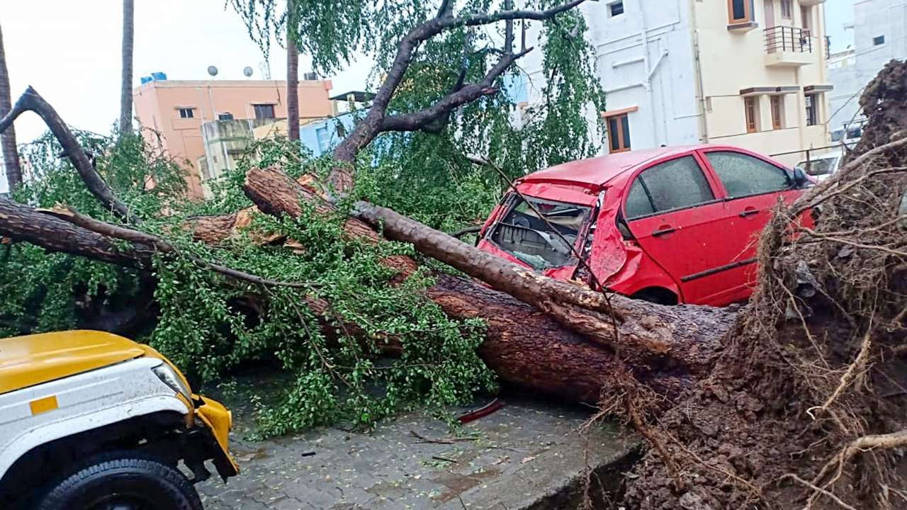 Cyclone Gaja: At least 11 killed in Tamil Nadu, Centre assures assistance