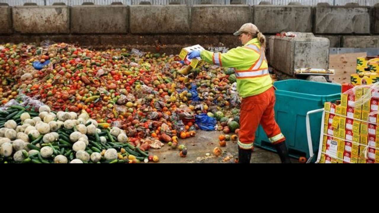 Japan generates electricity by recycling 80 ton per day of food waste