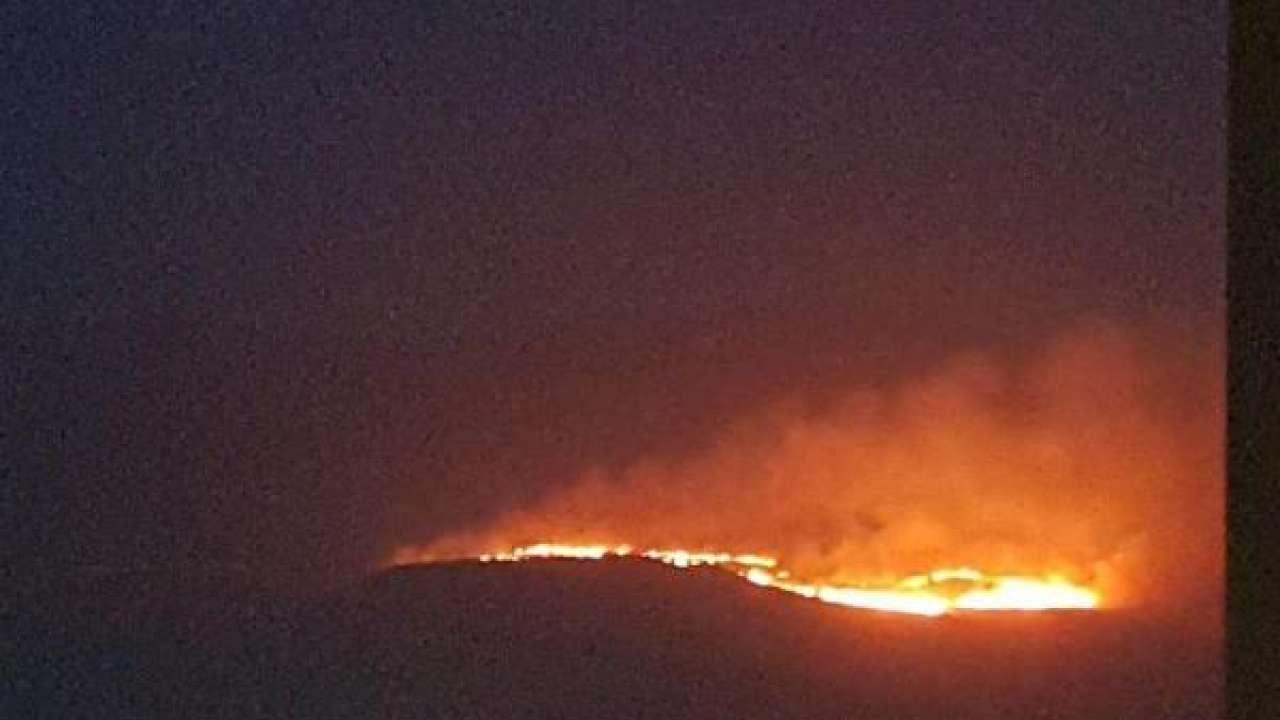 Mumbai Fire: Massive fire breaks out at Aarey Colony, operations ...