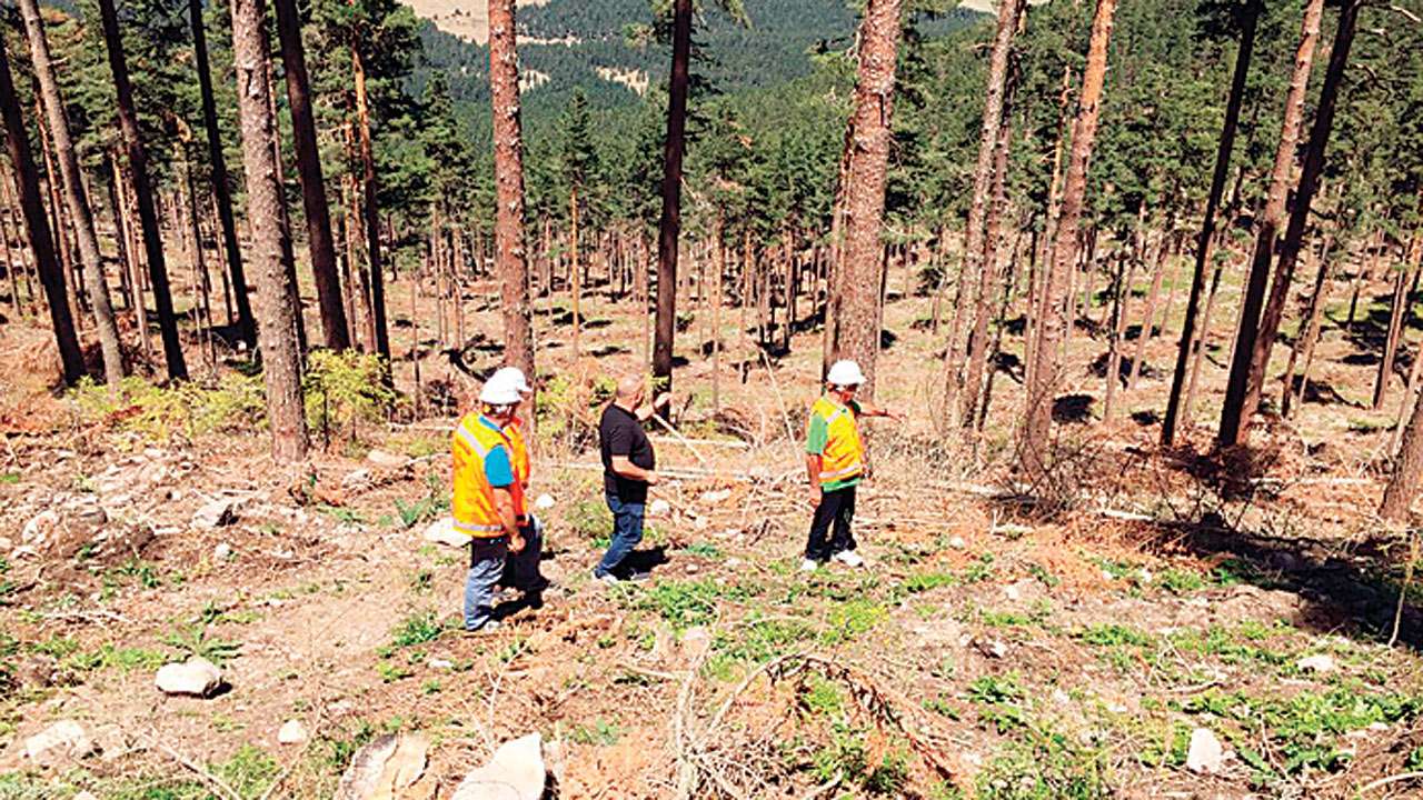 Border projects hit for want of green nod: Deepak Kapoor