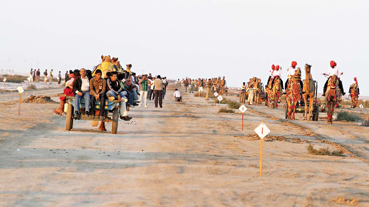 Gujarat: Local tourist destinations flavour of Christmas vacation