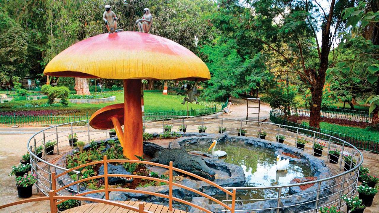 BMC Budget Check: Byculla Zoo hopes to forge ahead with exotic section