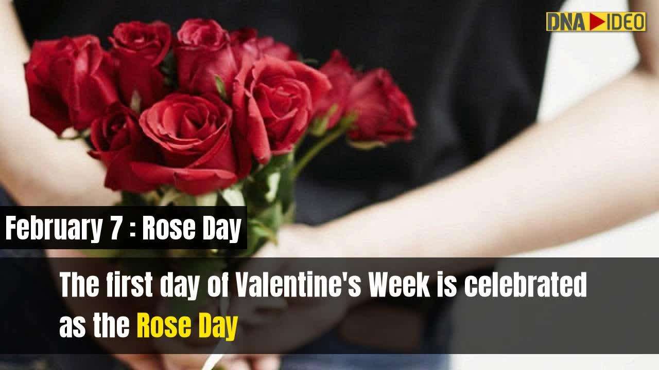 Here's the full schedule of Valentine's Week