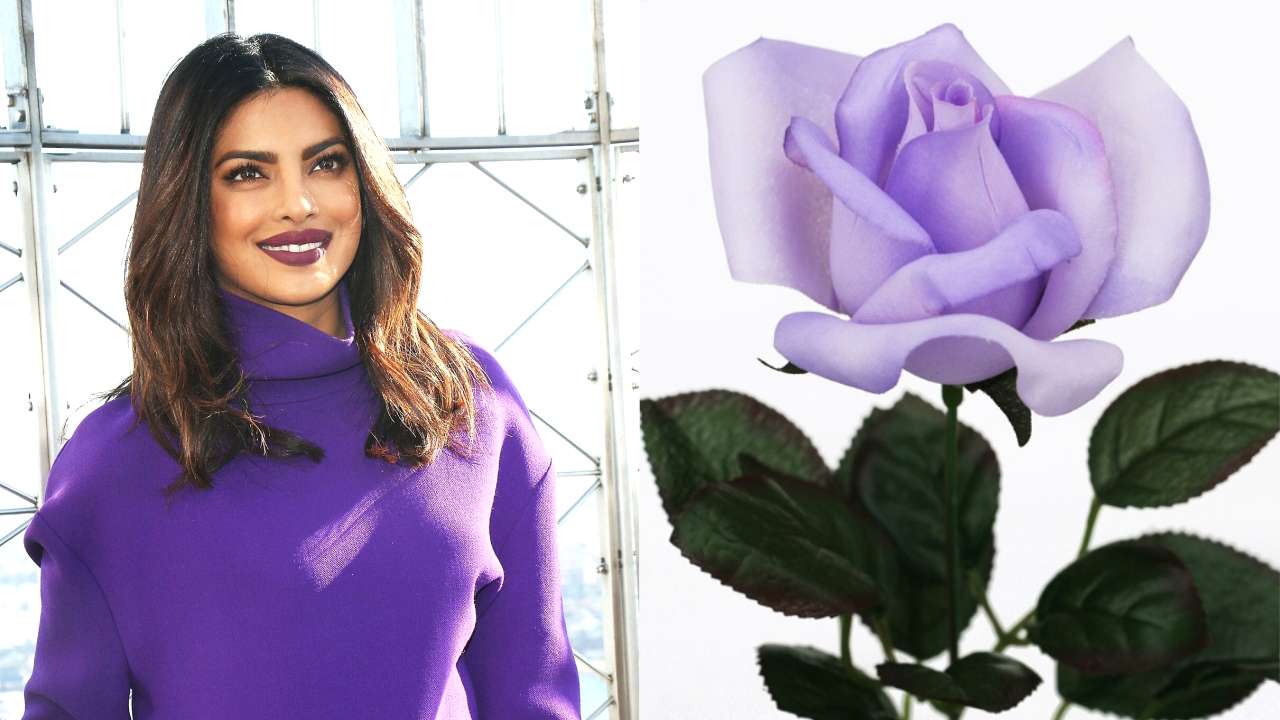 This Rose Day 2019, we would give Red to Alia Bhatt, White to Deepika ...