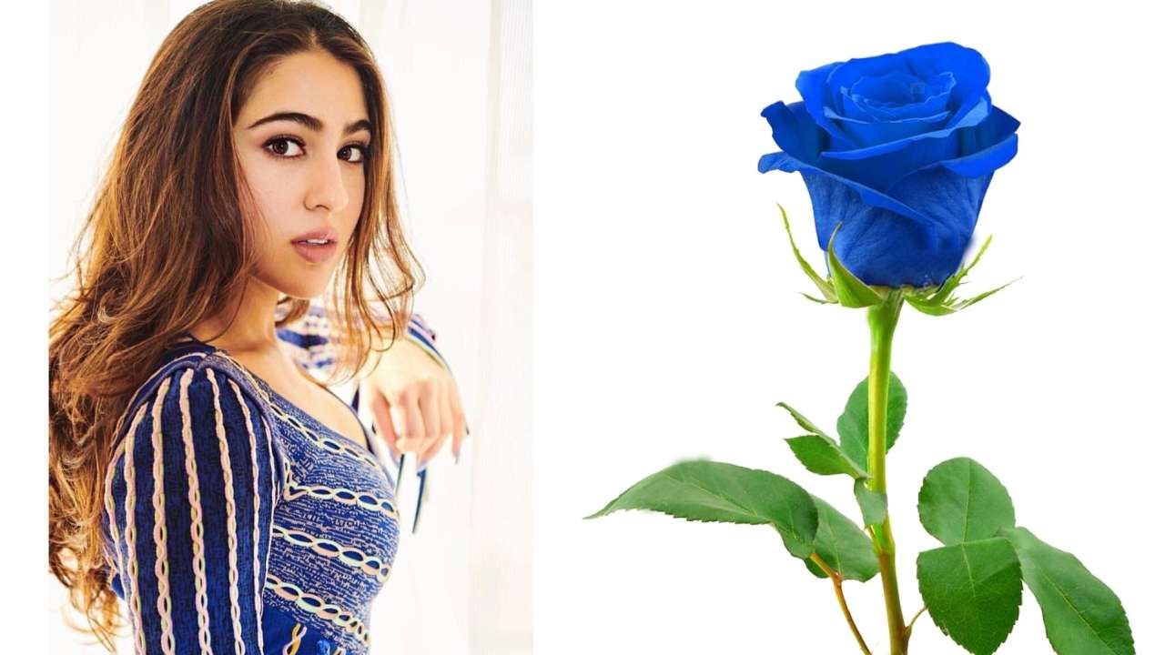 This Rose Day 2019, we would give Red to Alia Bhatt, White to Deepika ...