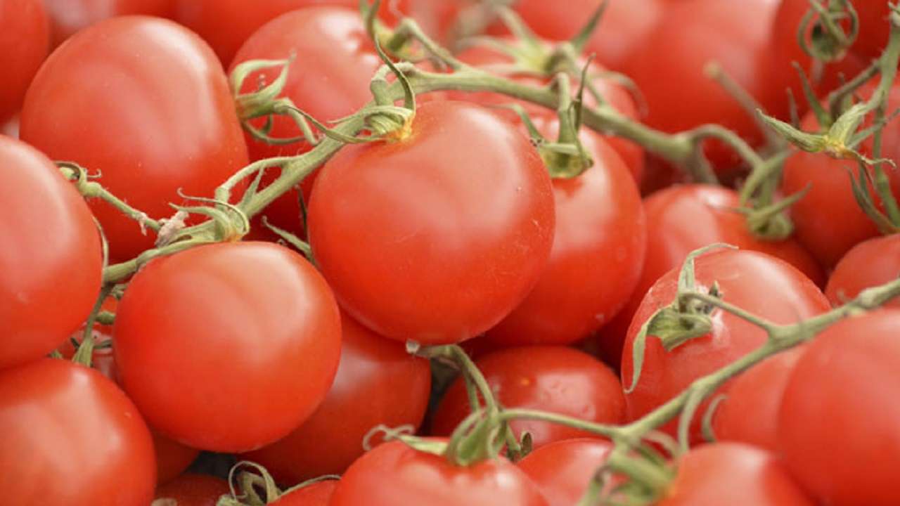 Pulwama attack aftermath: MP farmers stop export of tomatoes to Pakistan