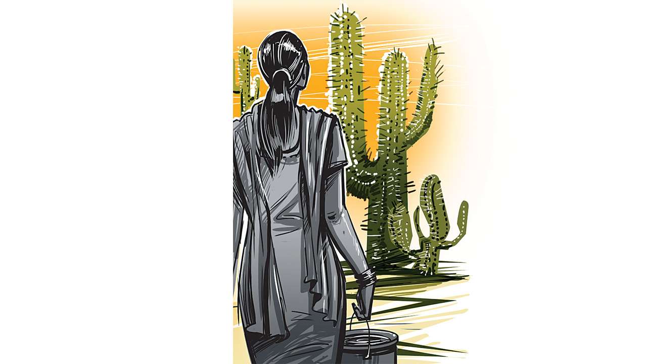 NGO finds 1000+ defecating in open in ODF++ Ahmedabad