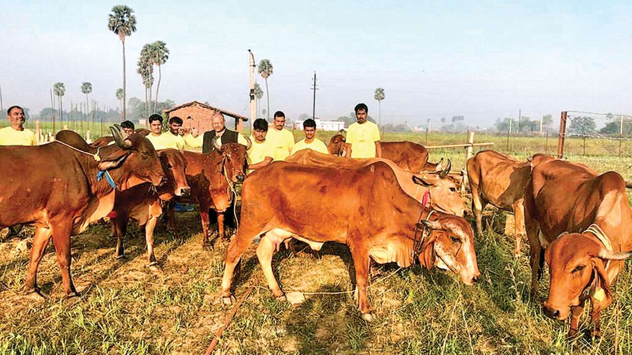 O2: Bihar's go-to cow sheds and cafes
