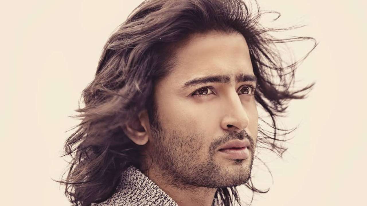 Happy birthday Shaheer Sheikh: These 5 drool-worthy photos of the TV ...