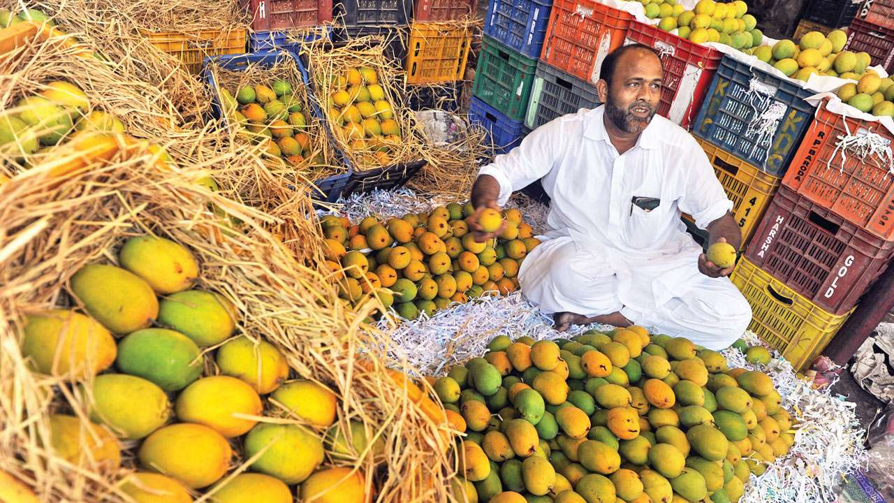 APMC's aam aadmi take Alphonso online