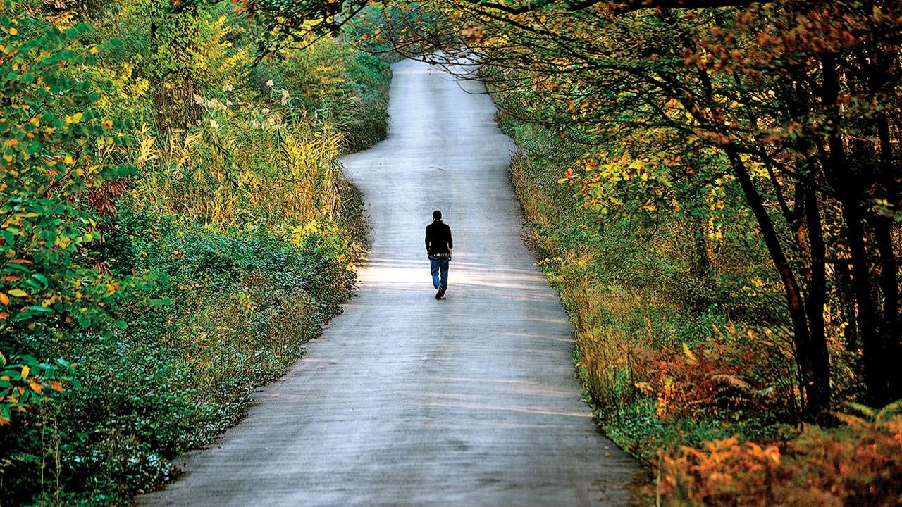 Can The Simple Act Of Walking Recharge Your Soul 