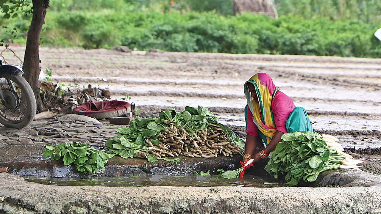 Funds under PM Kisan scheme yet to be transferred to 1.5 lakh farmers in UP