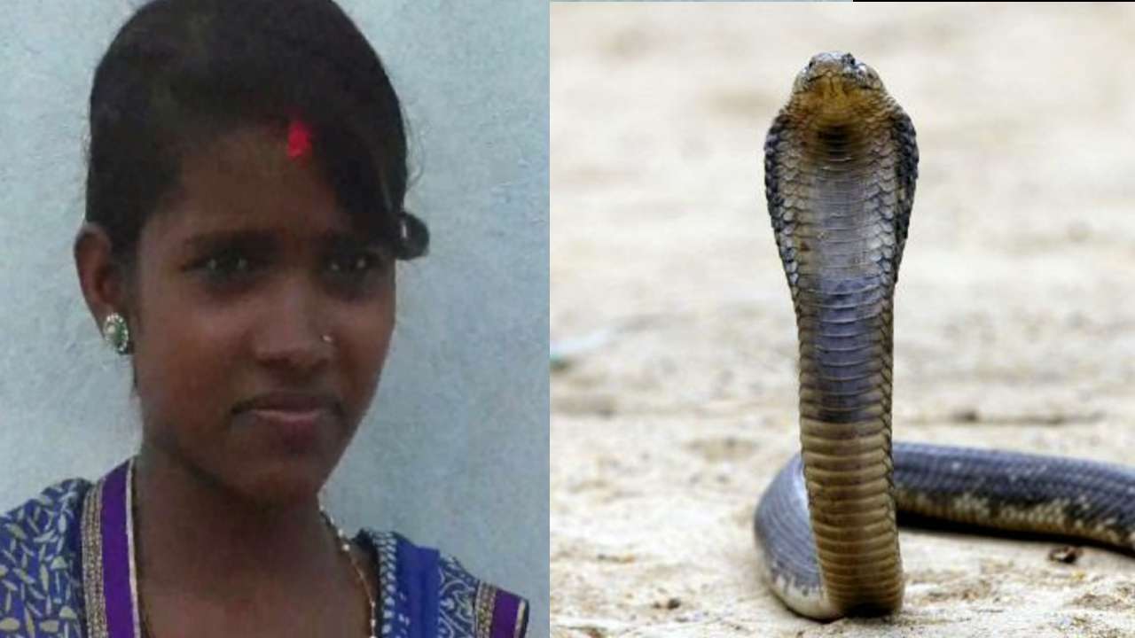 Hissssss wish is her command: 'Visited by the serpent lord' in her ...