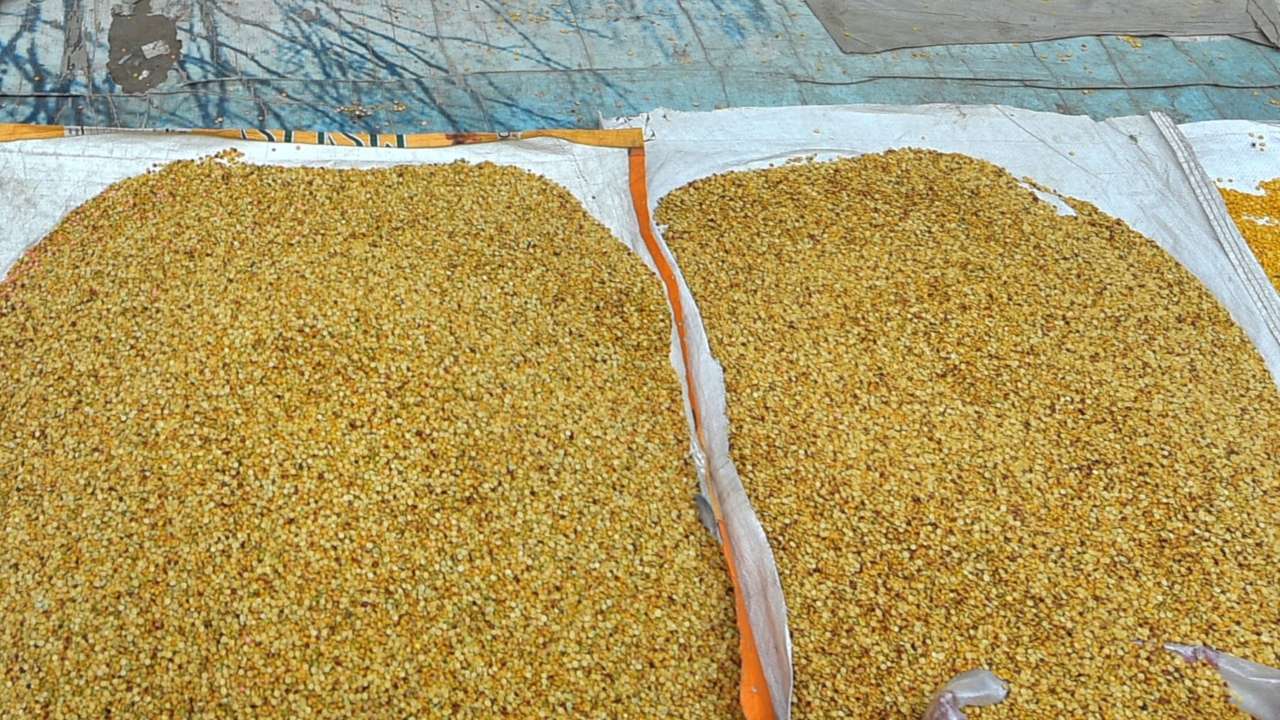 Modi govt's new plan: 'One nation, One ration card'