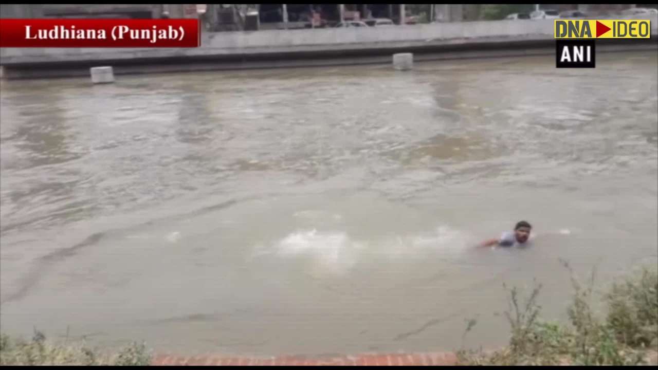 Watch: Locals perform dangerous swimming stunts in Ludhiana