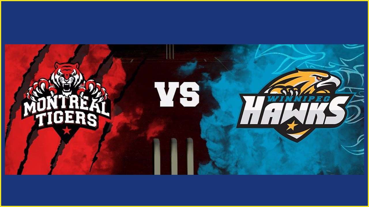 Montreal Tigers vs Winnipeg Hawks Dream11 Prediction: Best picks for ...