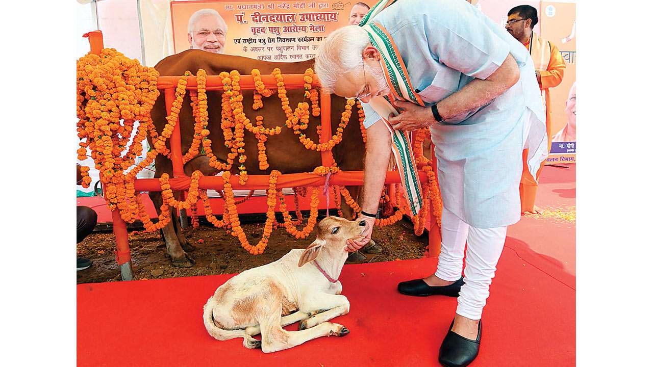 'Some people are shocked on hearing Om and Cow', says Prime Minister ...