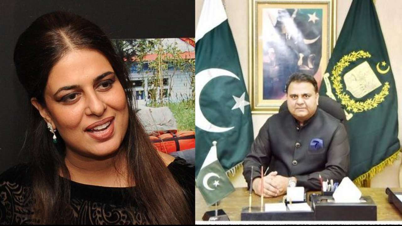 'Can see the moon, what's the need to go there': Pak's Science Minister ...