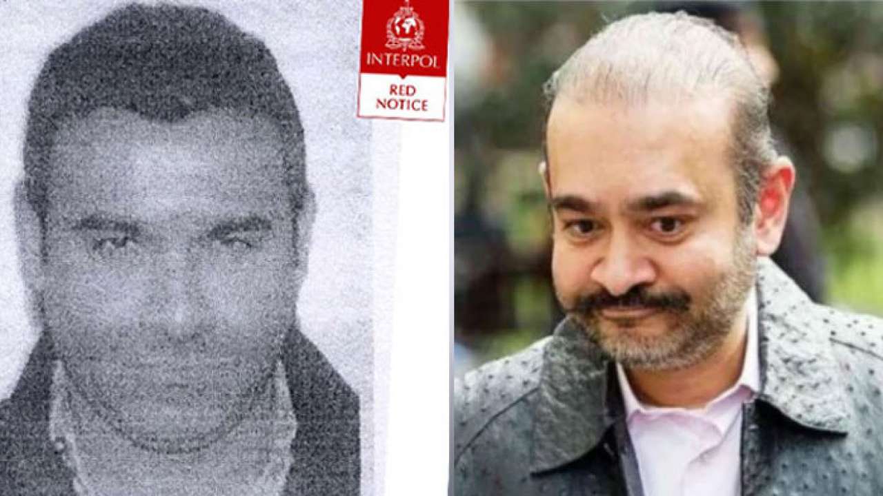 Interpol issues Red Corner Notice against Nirav Modi's brother Nehal