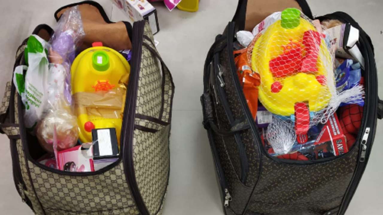 Pythons, monitor lizards seized from luggage at Chennai airport