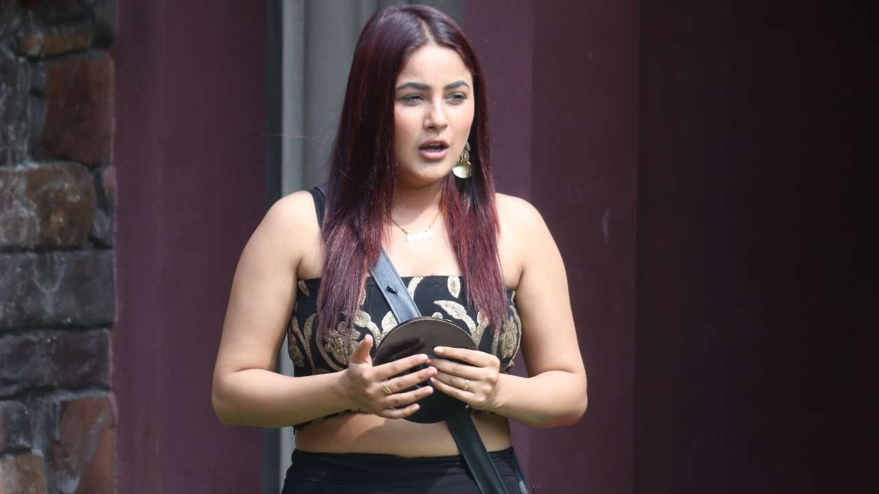 'Bigg Boss 13' Episode 11 Preview: Arti Singh tells Paras Chhabra she ...