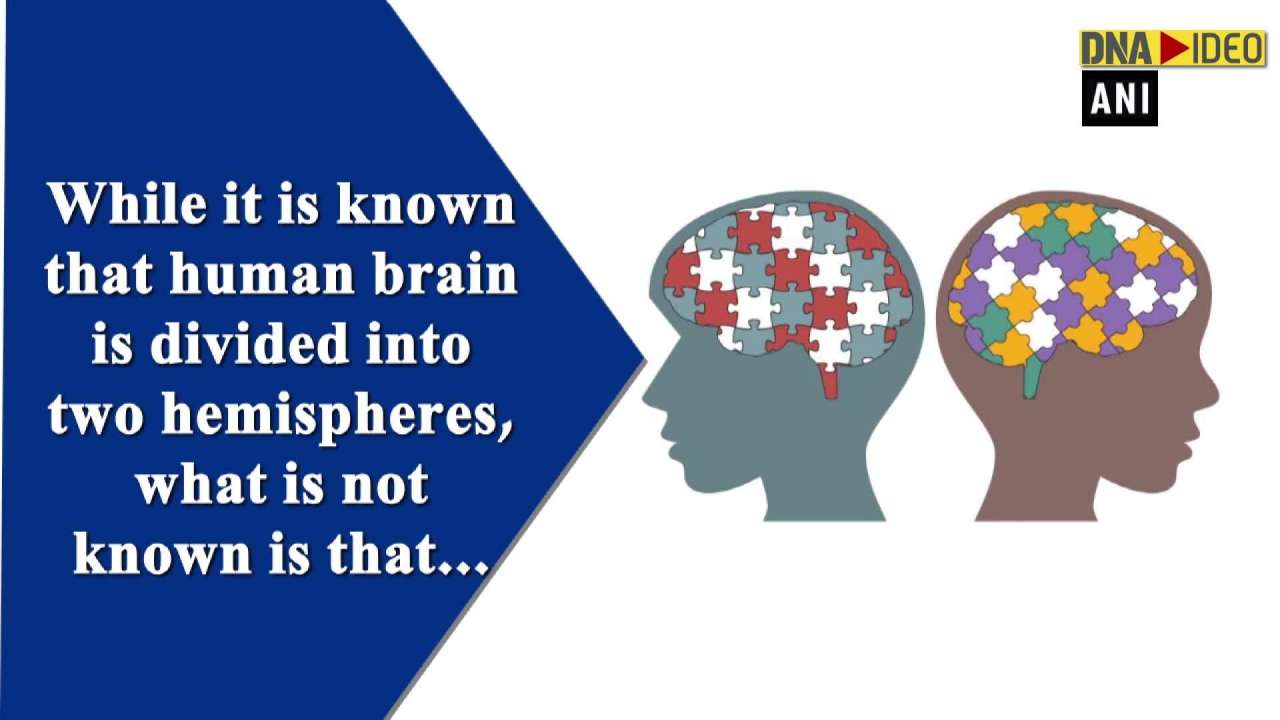 Autistic people have symmetrical brain hemispheres, reveals study