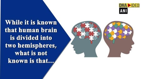 Autistic people have symmetrical brain hemispheres, reveals study