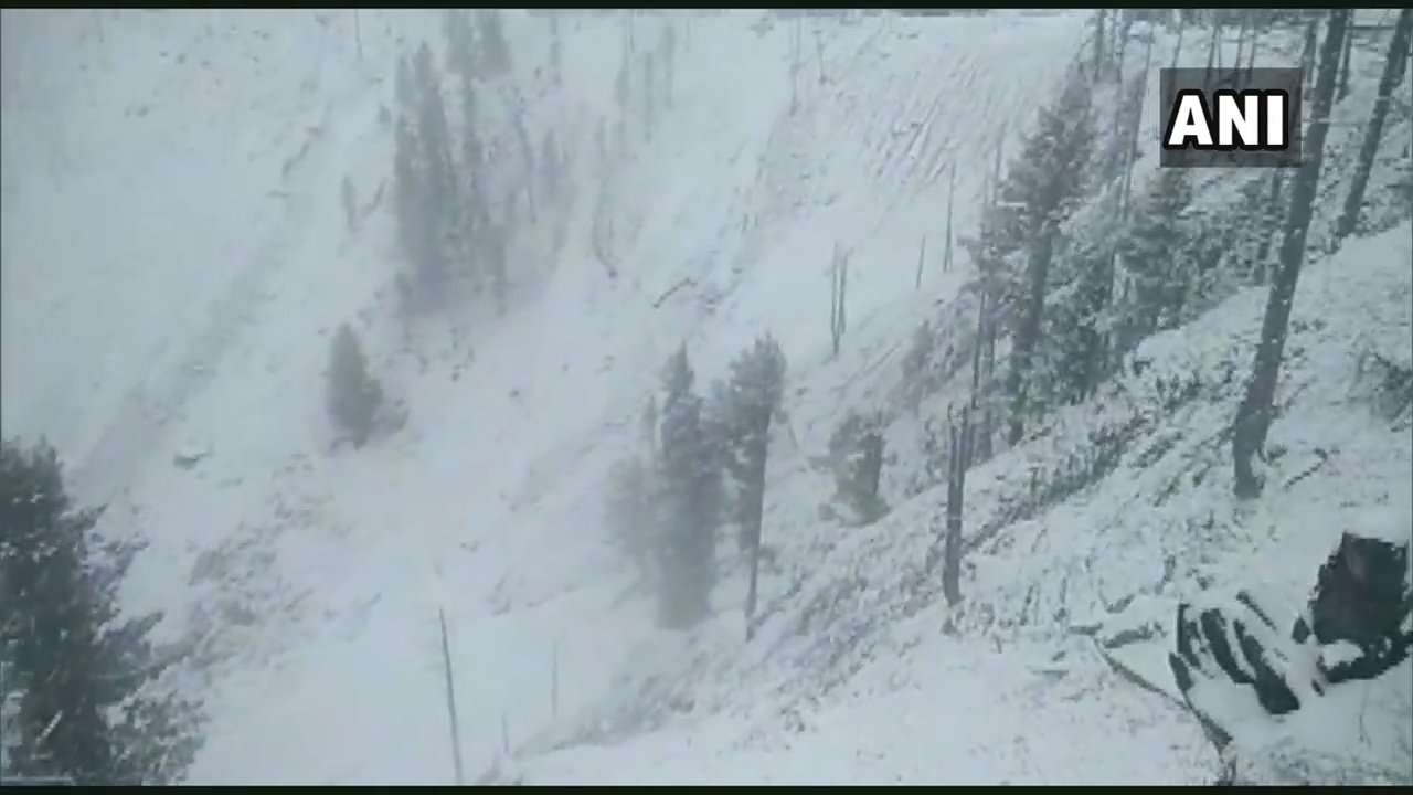 Watch video: Gulmarg in J-K's Baramulla district receives season's ...