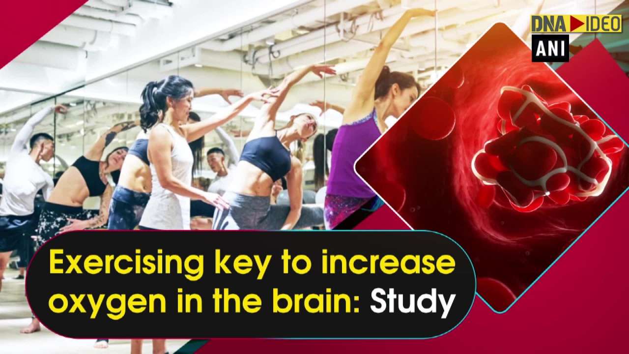 Exercising key to increase oxygen in the brain: Study