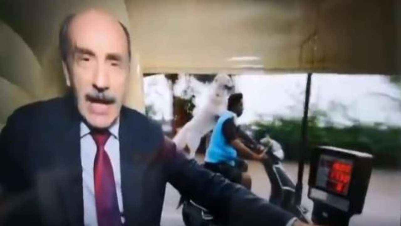 'This happens only in India': Dog riding pillion on bike photobombs BBC ...