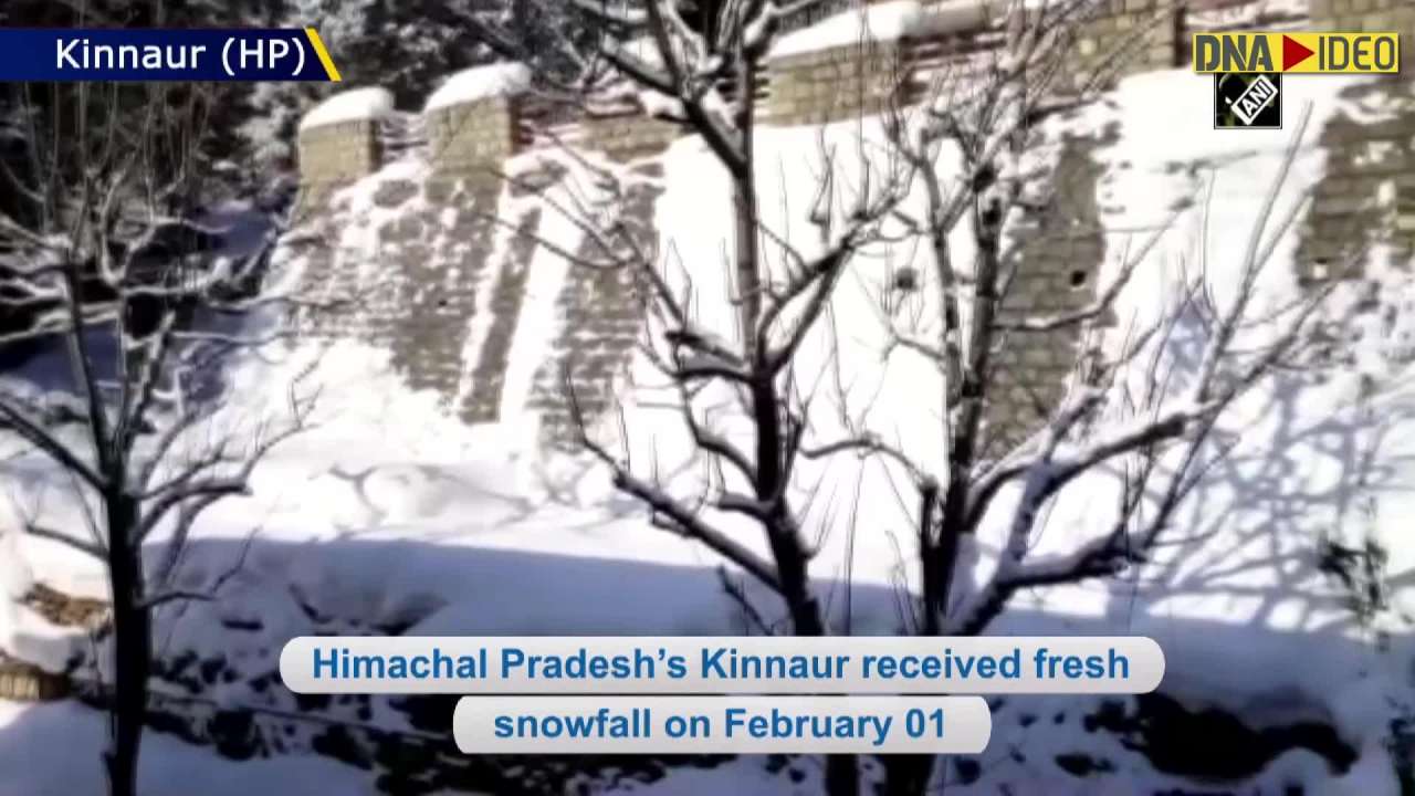 HP’s Kinnaur receives fresh snowfall