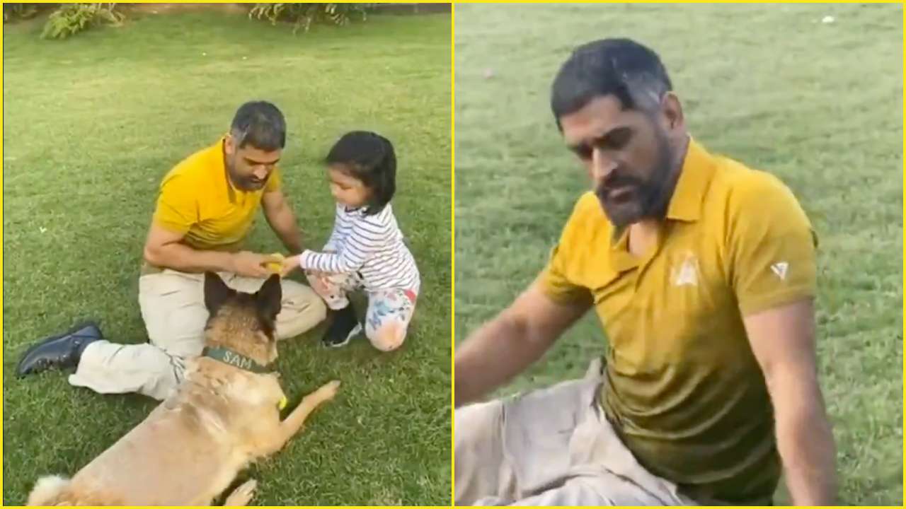 WATCH: Latest glimpse of MS Dhoni enjoying family playtime with Ziva ...