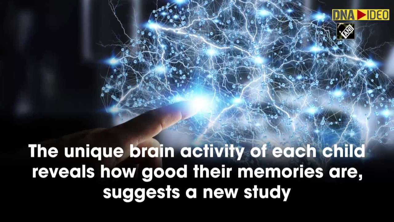Brain activity of children reveals their memory ability