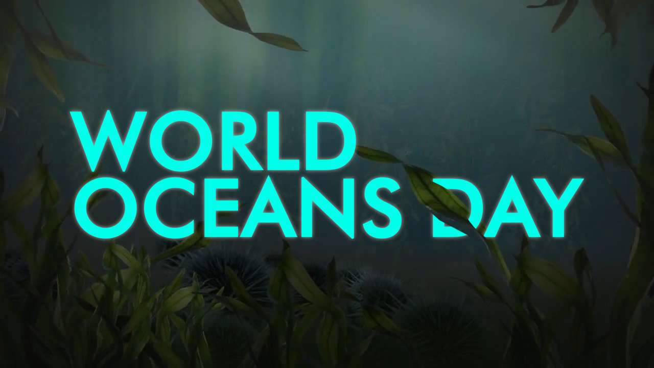 It’s time to protect our oceans and underwater world