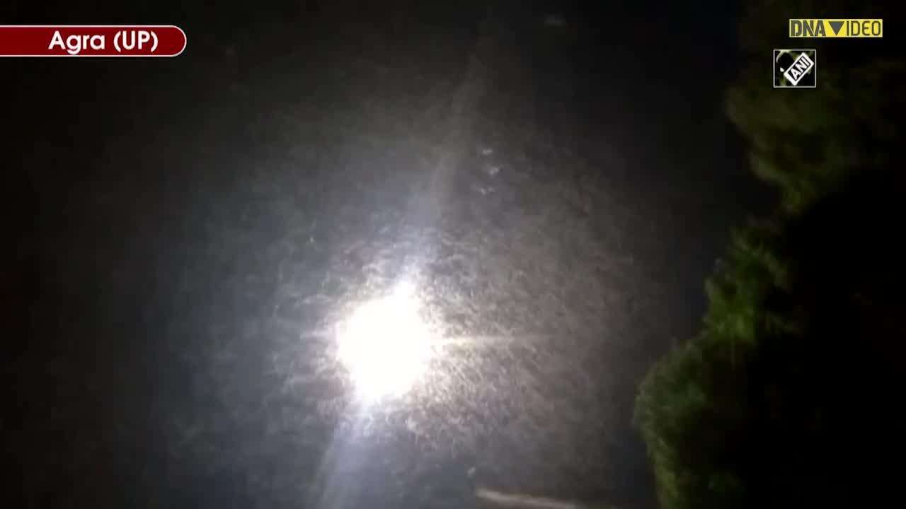 Swarm of locusts attacks UP's Agra