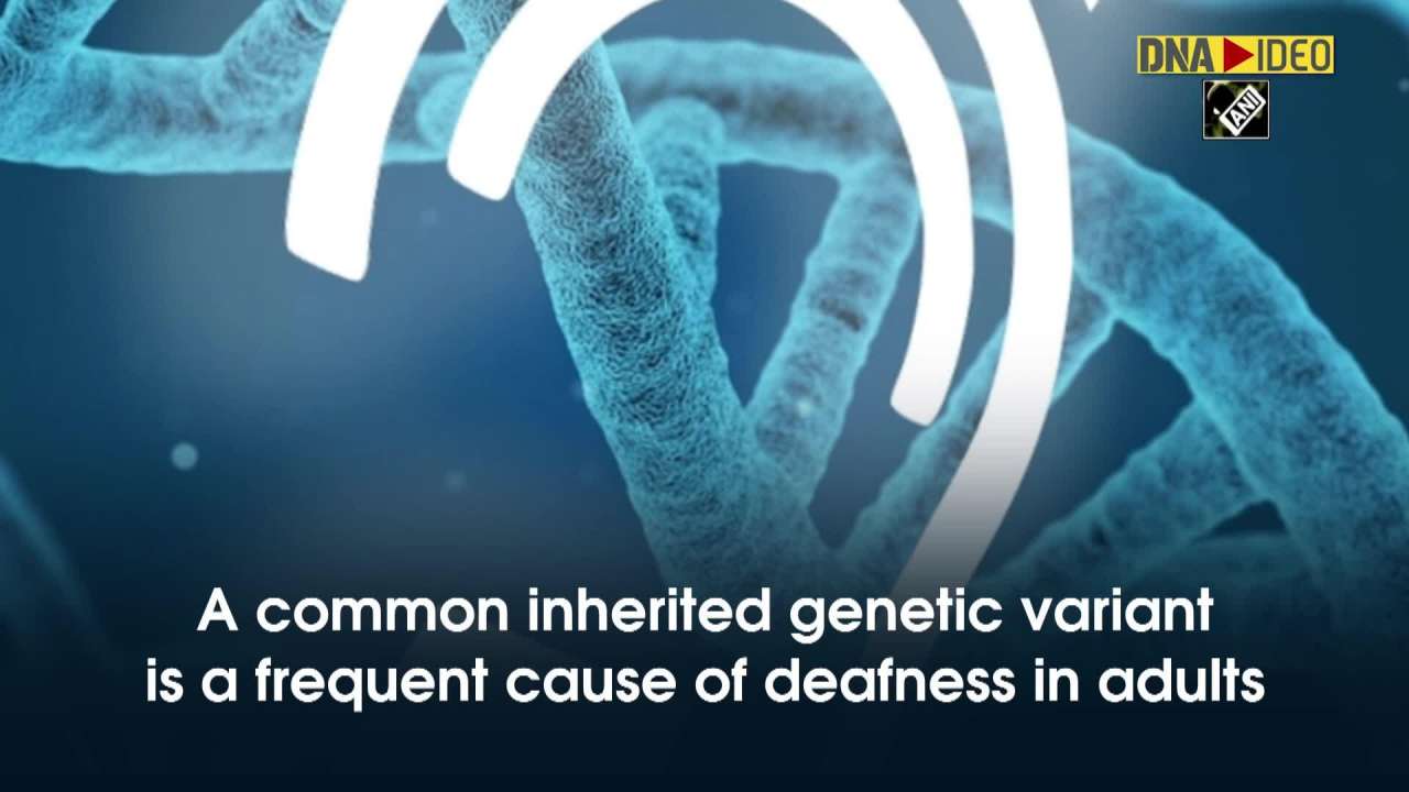 Study suggests common inherited genetic variant is frequent cause of ...