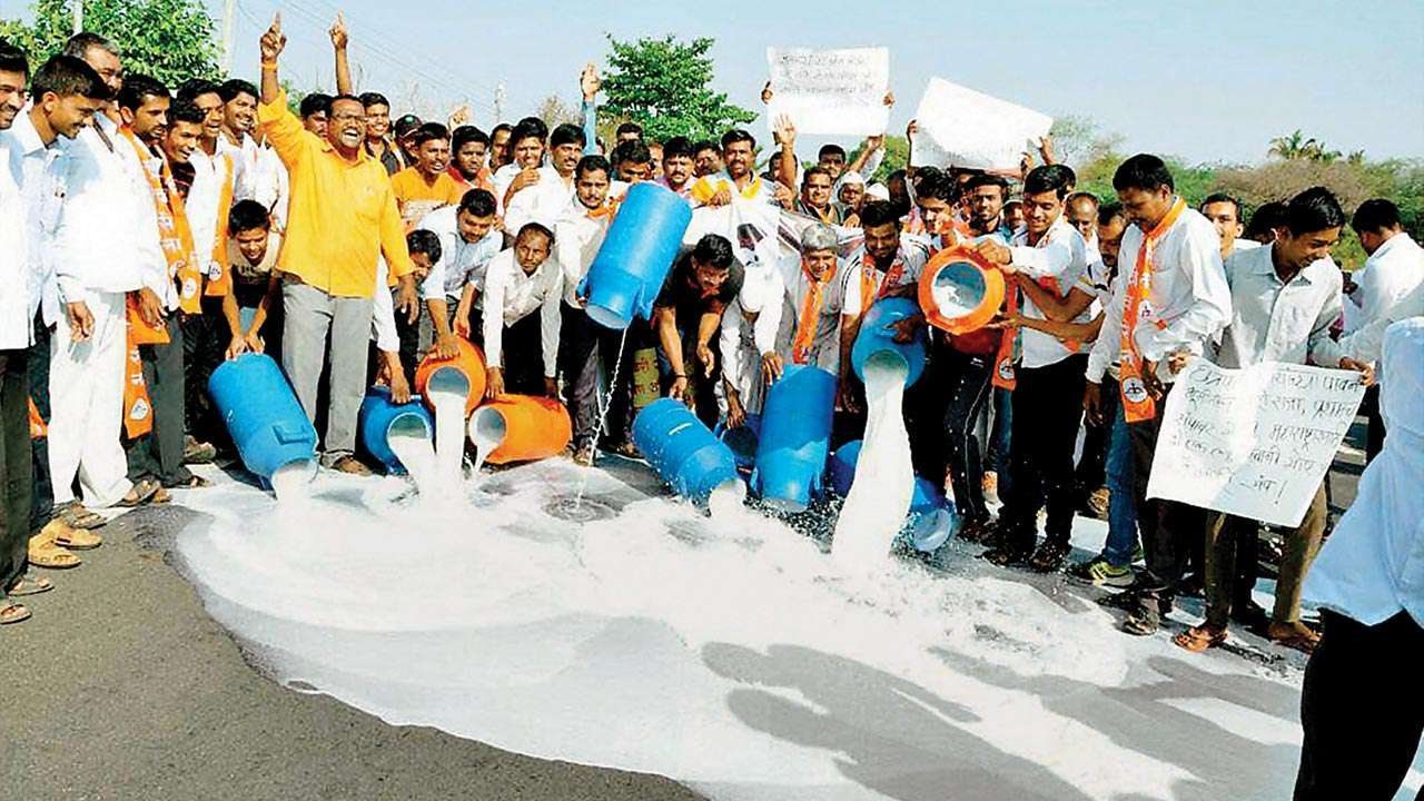 Milk producers' protest intensifies in Maharashtra, demand Rs 30 per litre
