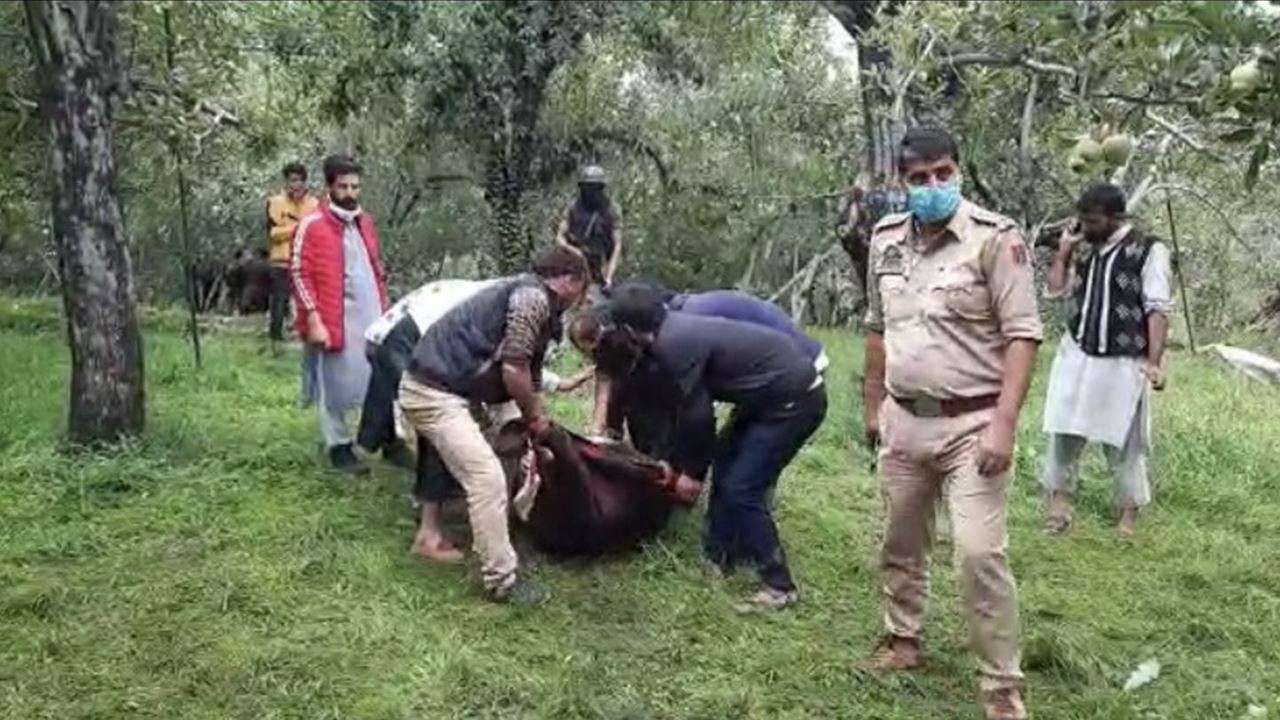 J&K: Bullet-ridden body of missing Panch recovered from Shopian