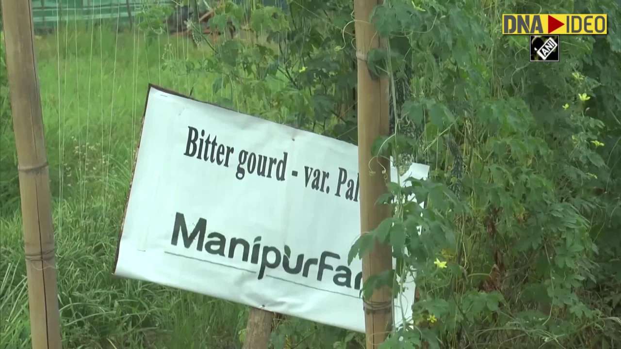 This semi-organic farm is making Manipur self-reliant for vegetable needs