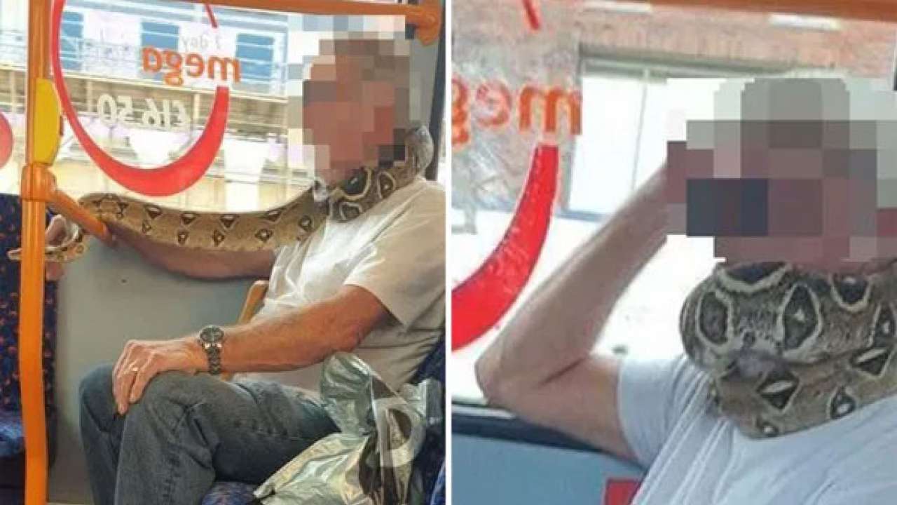 Man spotted wearing 'live snake as face mask' on Manchester bus