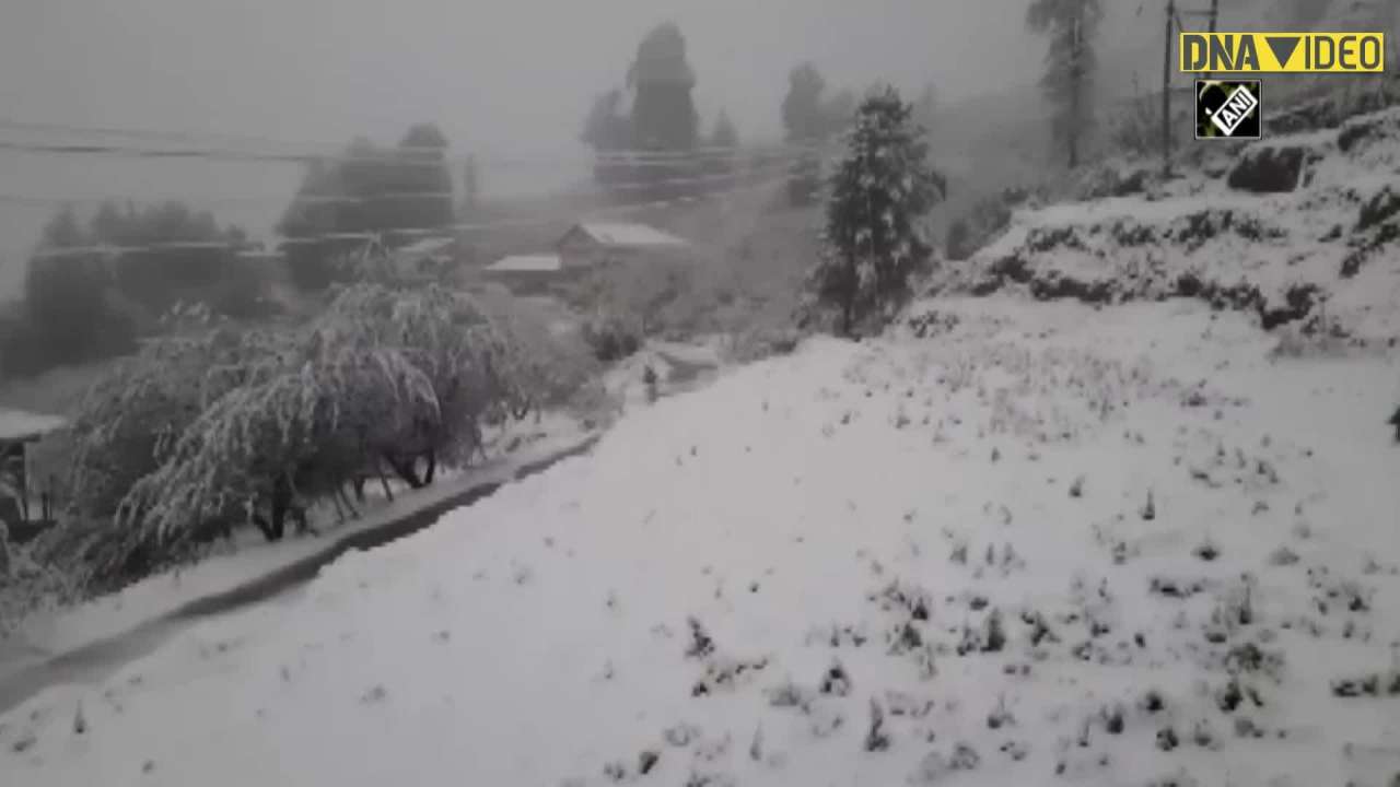 Watch: Shimla, Pir Panjal Range receive fresh spell of snow